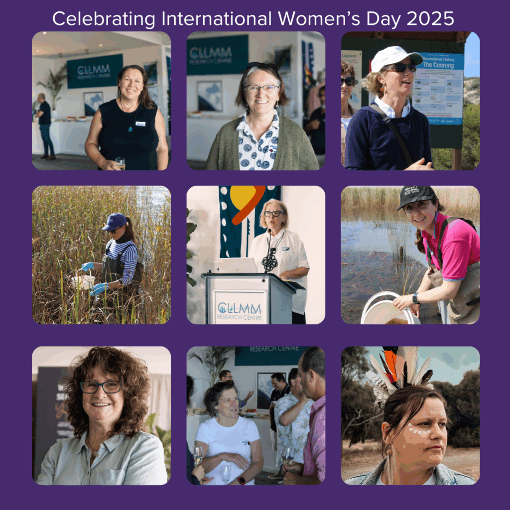 Researcher Spotlight - Women of the CLLMM RC | CLLMM Research Centre
