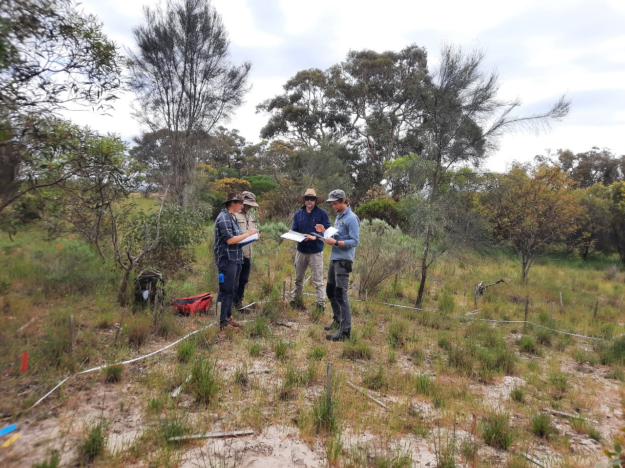 Are you a landholder who has had revegetation on their property? Or a ...
